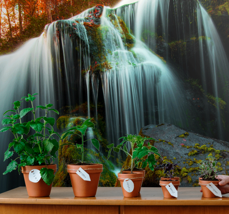 Deep forest waterfall mural - TenStickers