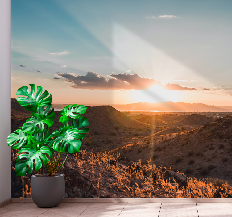 Sunset View desert wall mural